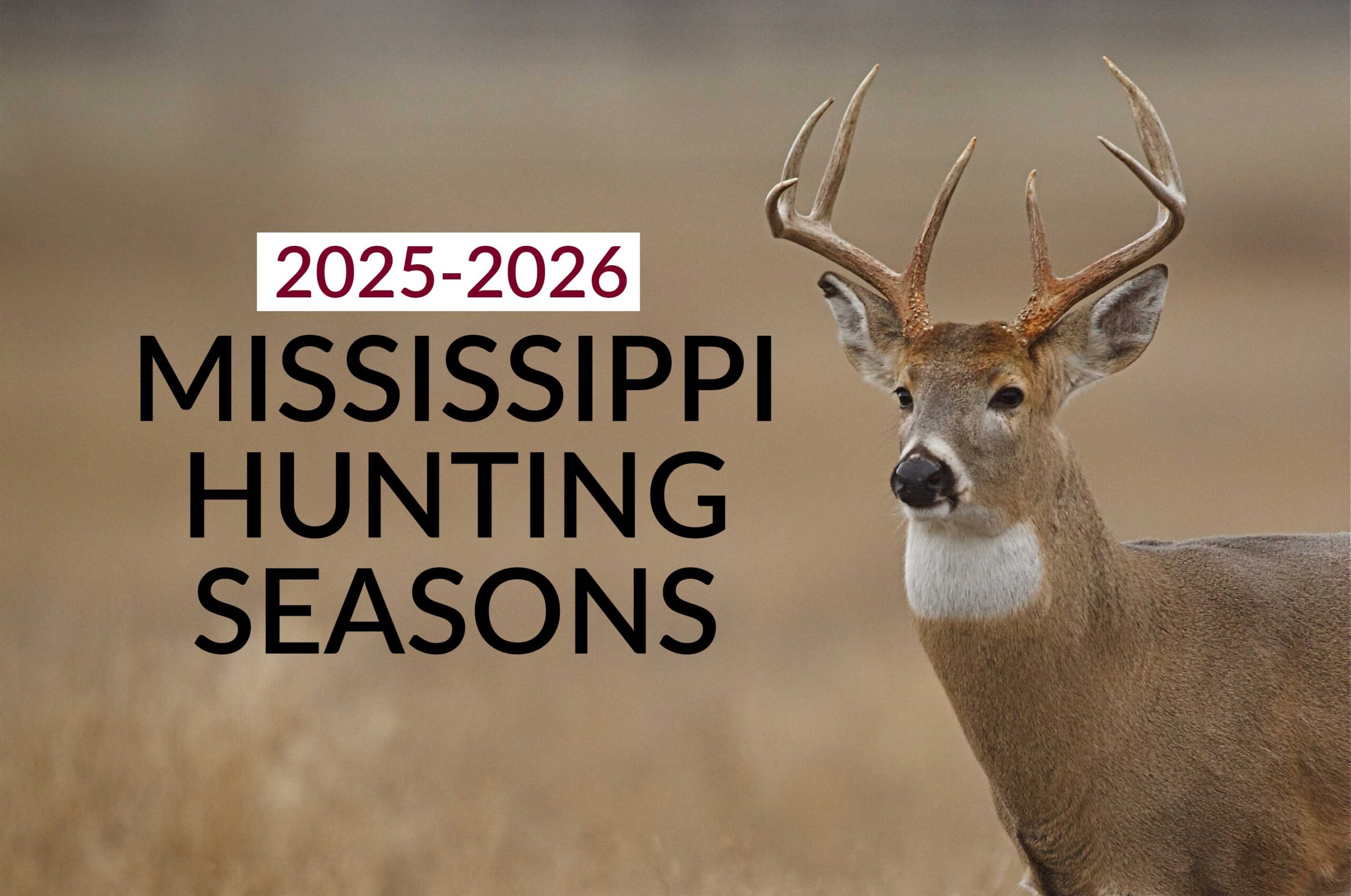 Mississippi Hunting Seasons 2025-2026 - Outdoor Lawyer